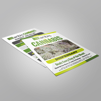 Flyer Printing | M13 Graphics